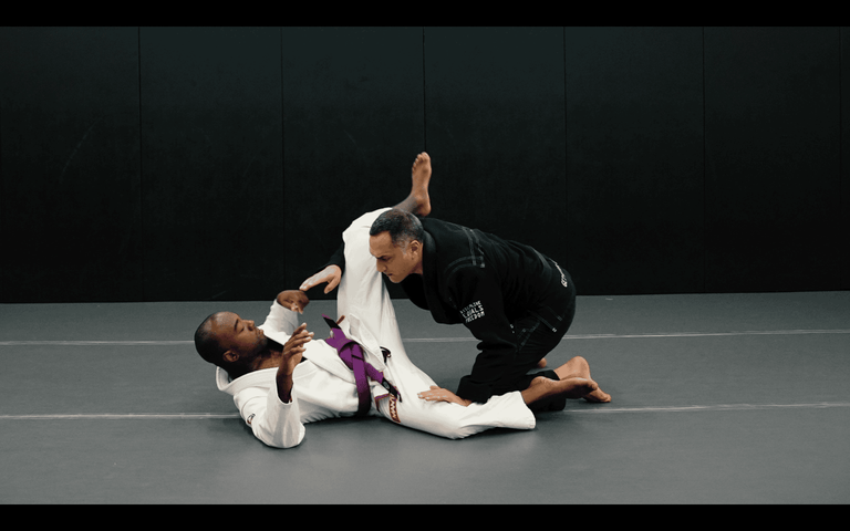 Brazilian Jiu Jitsu Purple Belt Requirements 2.0 – Roy Dean Academy