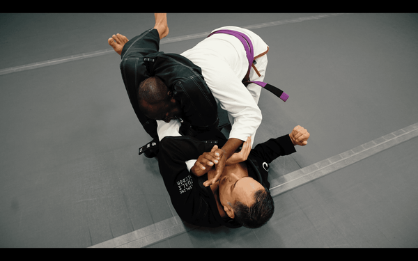 NEW! Brazilian Jiu Jitsu Purple Belt Requirements 2.0 – Roy Dean Academy