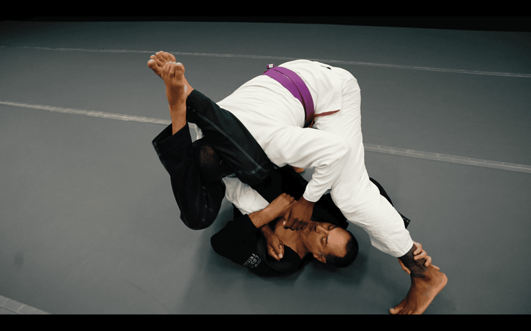 Brazilian Jiu Jitsu Purple Belt Requirements 2.0 – Roy Dean Academy